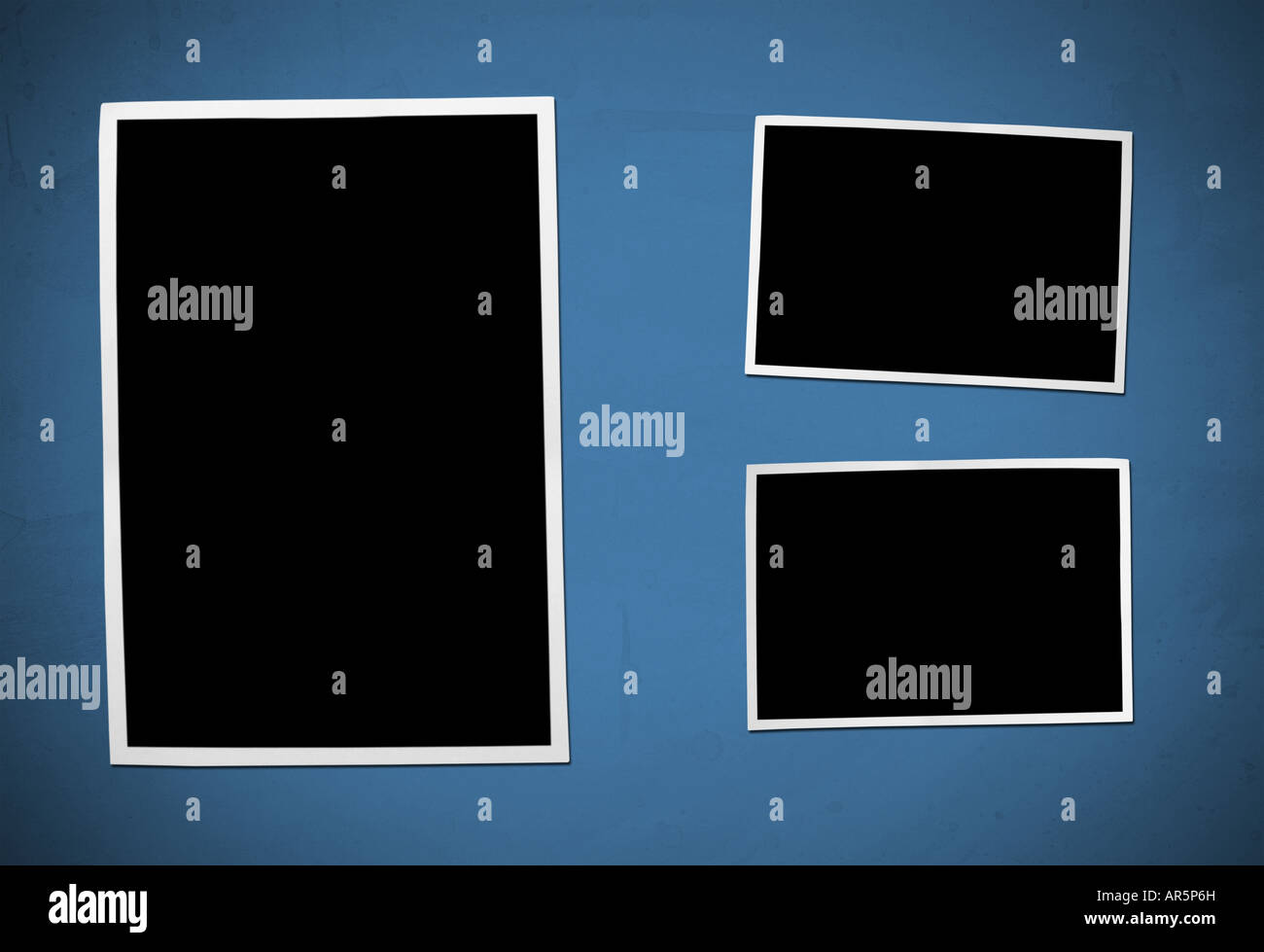 Developing picture Isolated on a clean blue background in a darkroom ...