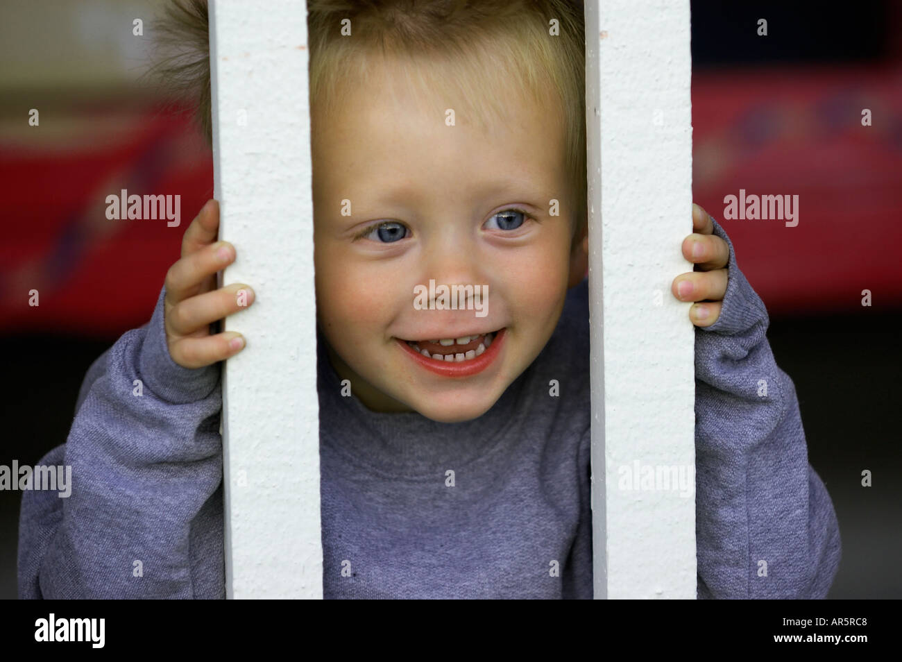 happy boy looking through fence Stock Photo - Alamy