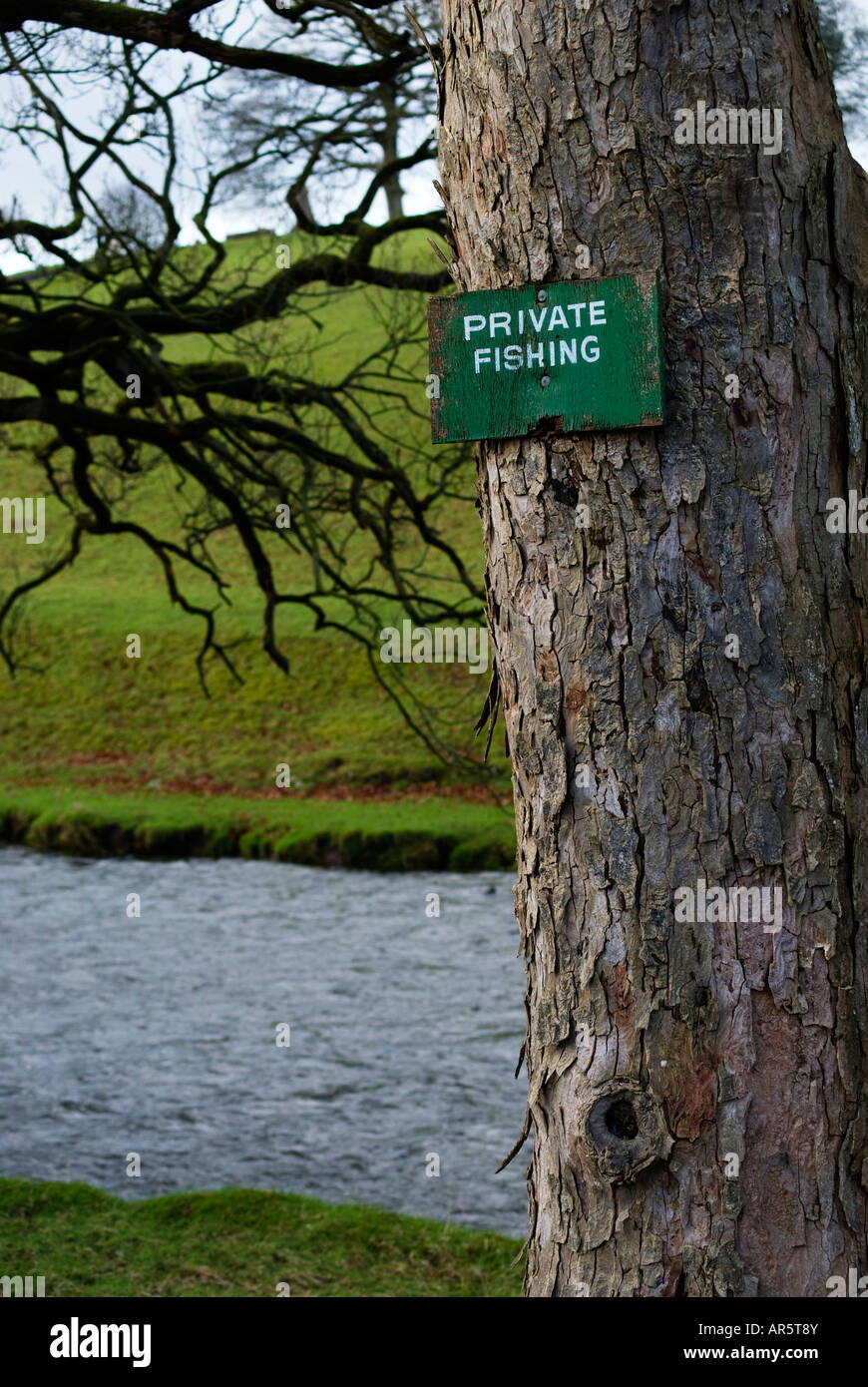 private fishing sign nailed to tree Stock Photo - Alamy