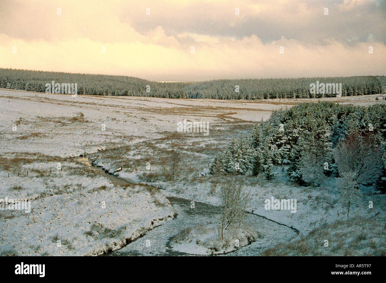 Light snow over fields, stream, pine woods, Northumberland Stock Photo ...