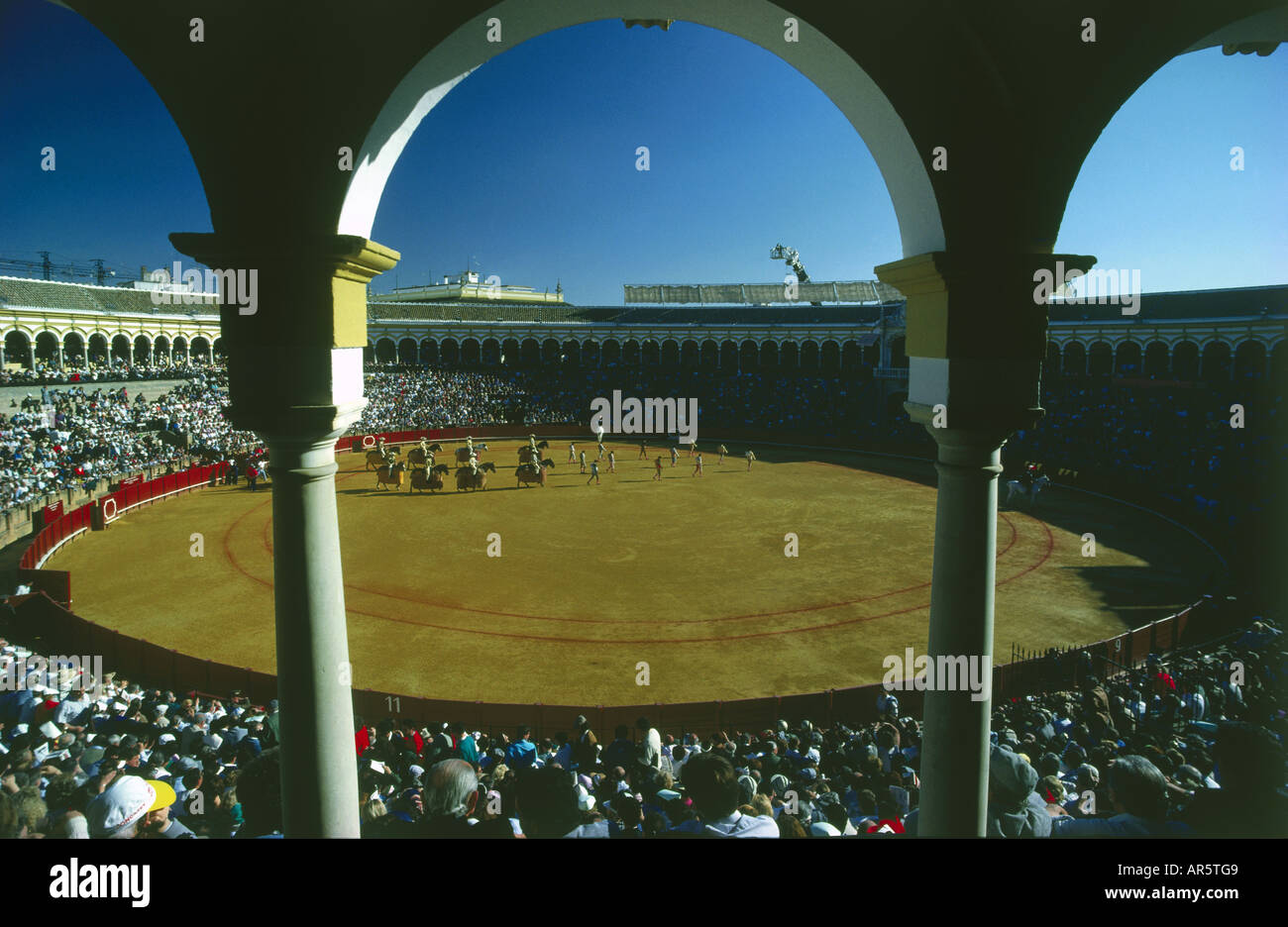 Bull arch hi-res stock photography and images - Alamy