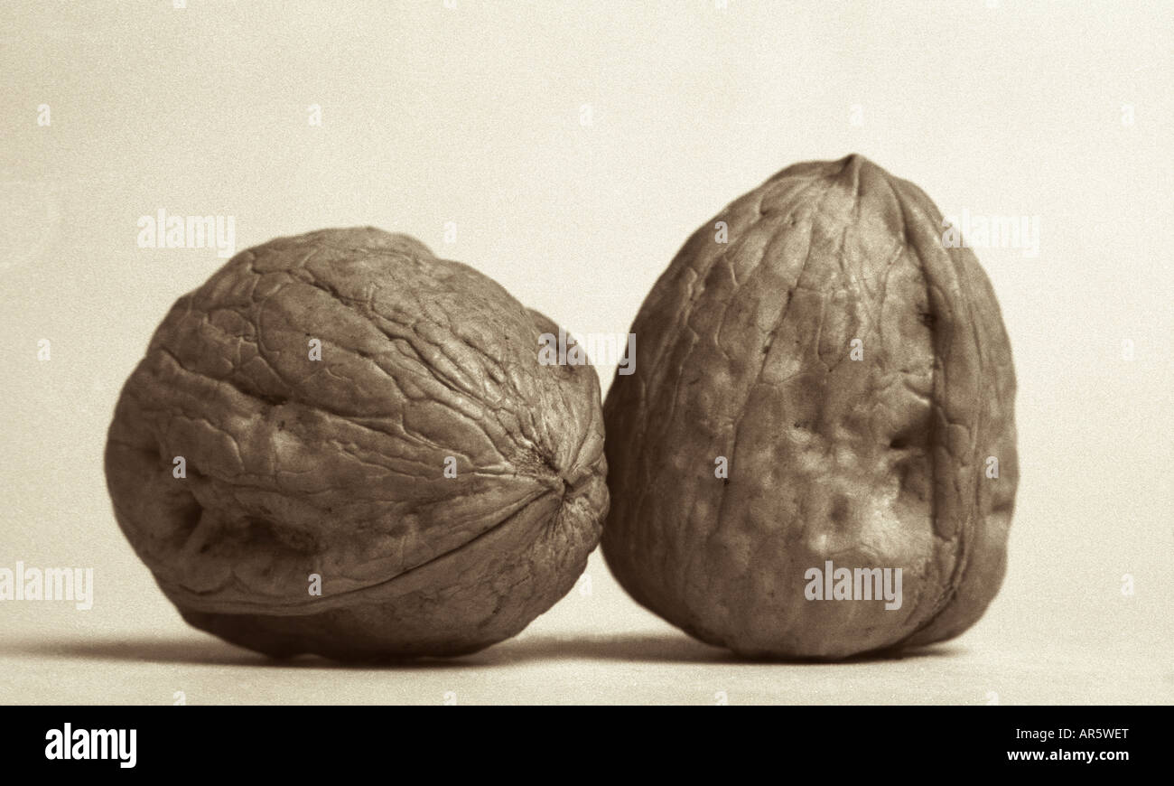 Close-up of two walnuts in their shells on a light, neutral background ...