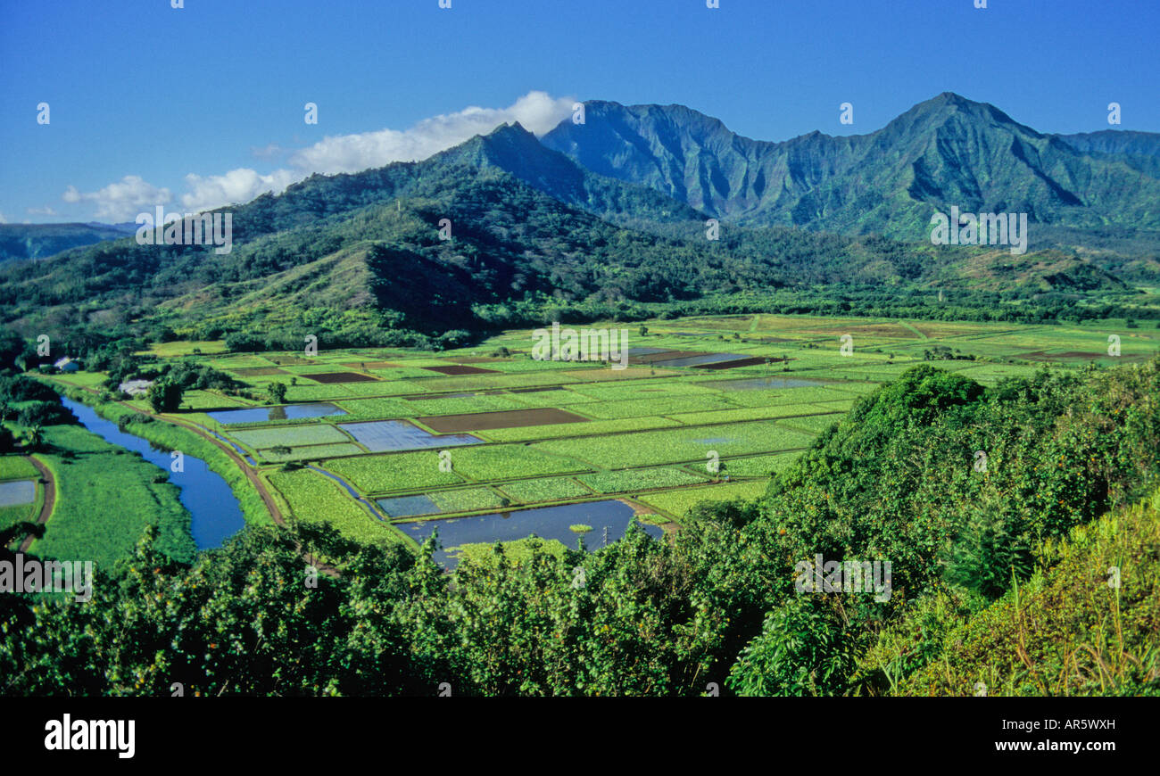 View of Hanalei Valley on Kauai from overlook Stock Photo - Alamy