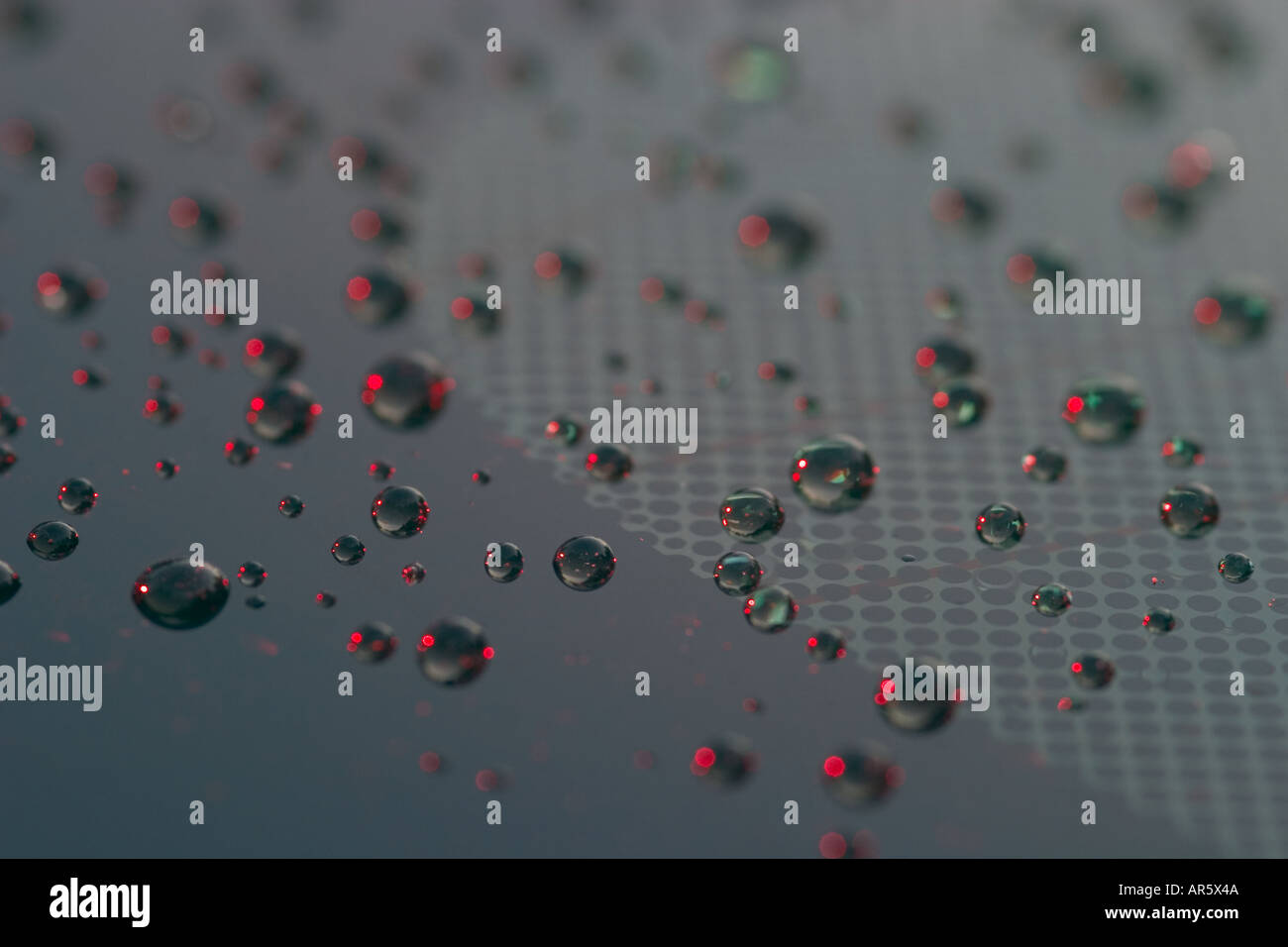 Water drops on a car window Stock Photo - Alamy