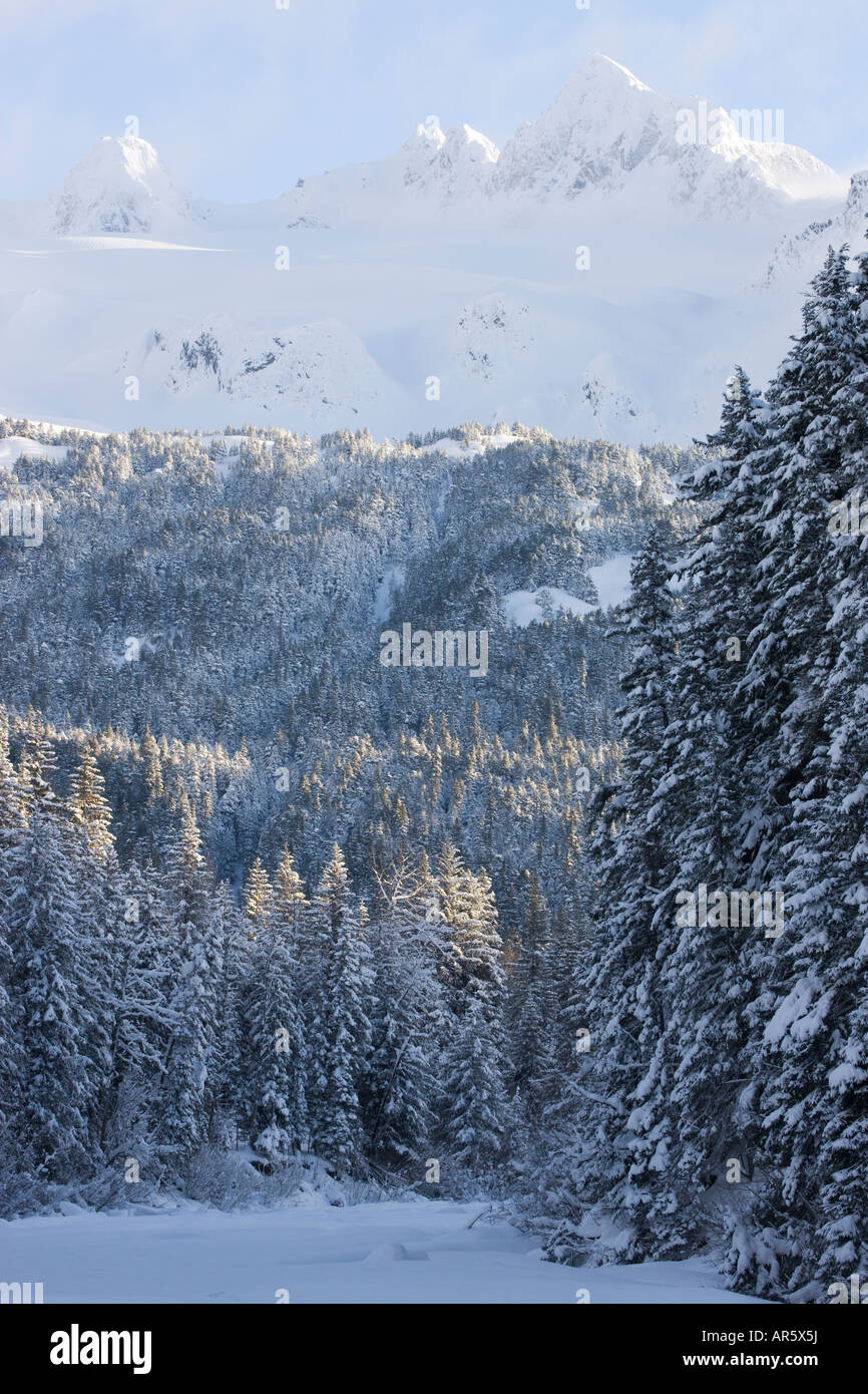 Snow covered mountains in the Chugach National Forest Seward Alaska ...