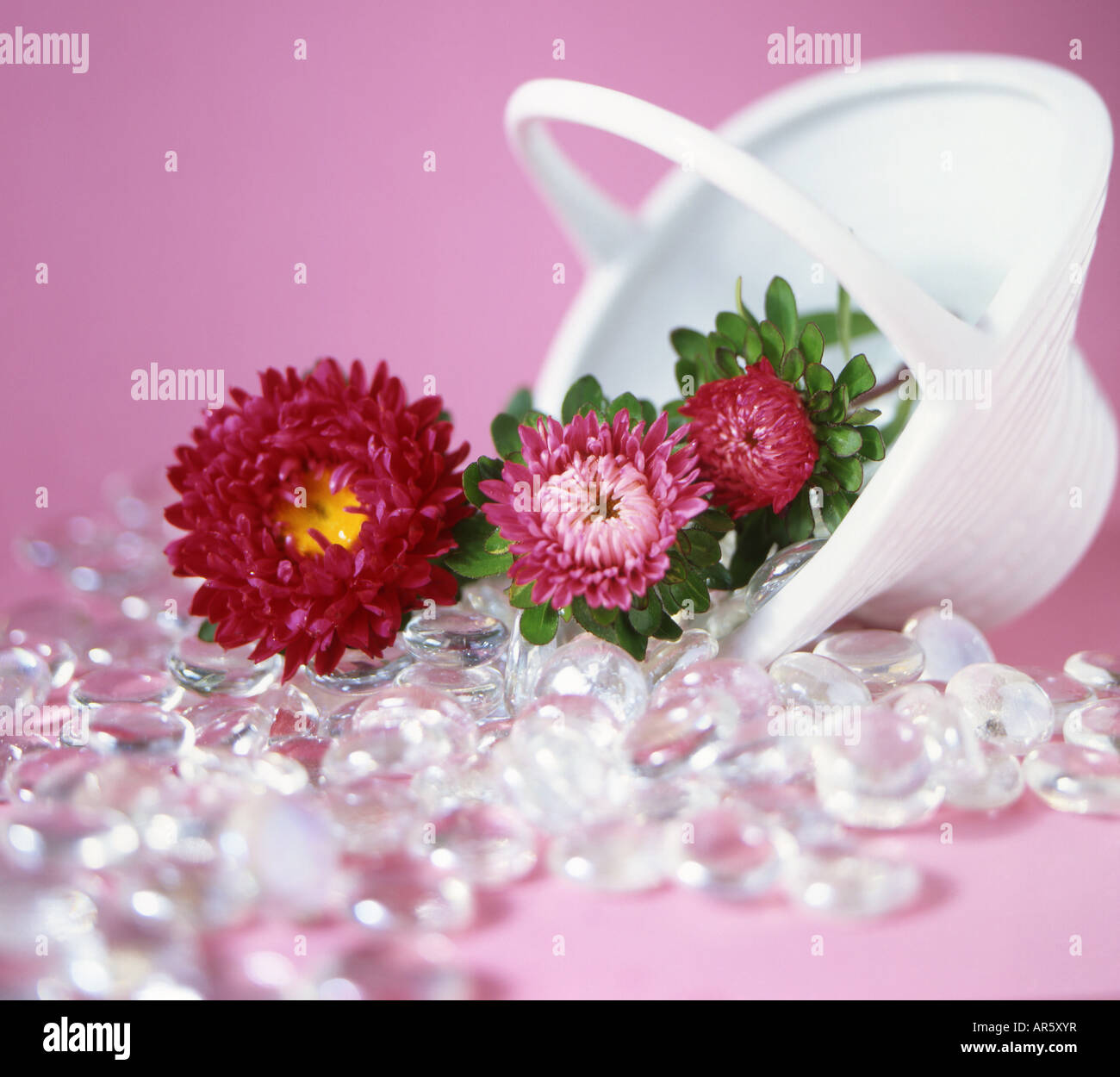 Upturned flowers hi-res stock photography and images - Alamy