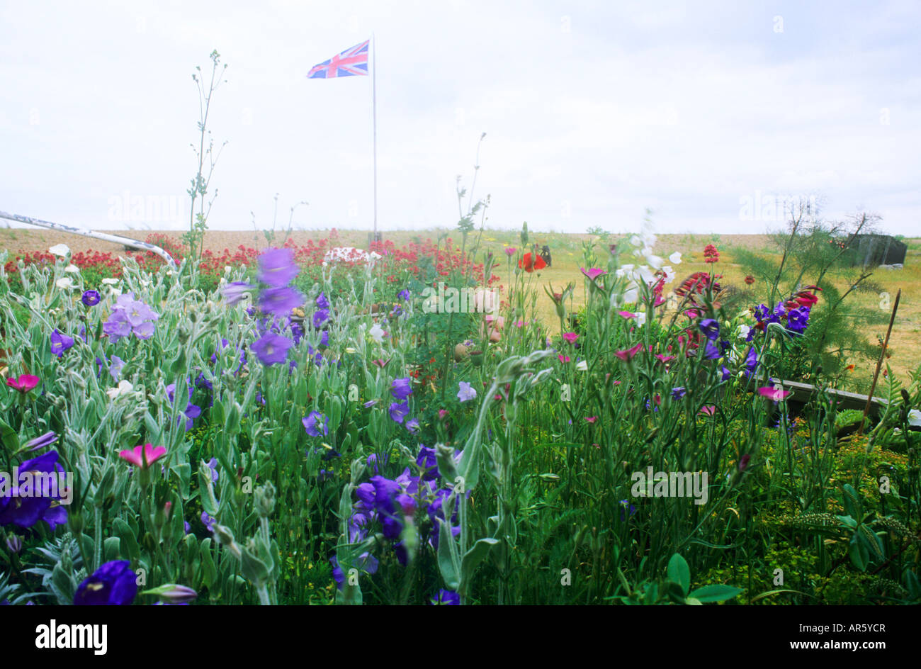 Seaside Beach Garden red white blue flowers flag Union Jack campanula ...