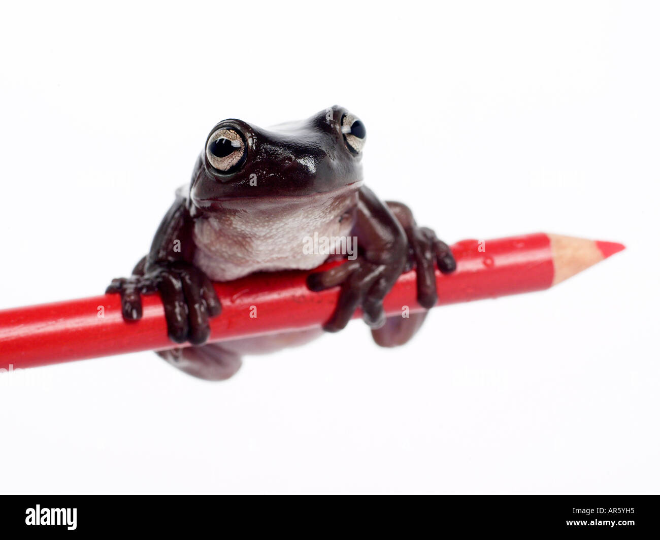 Pencil grip hi-res stock photography and images - Alamy