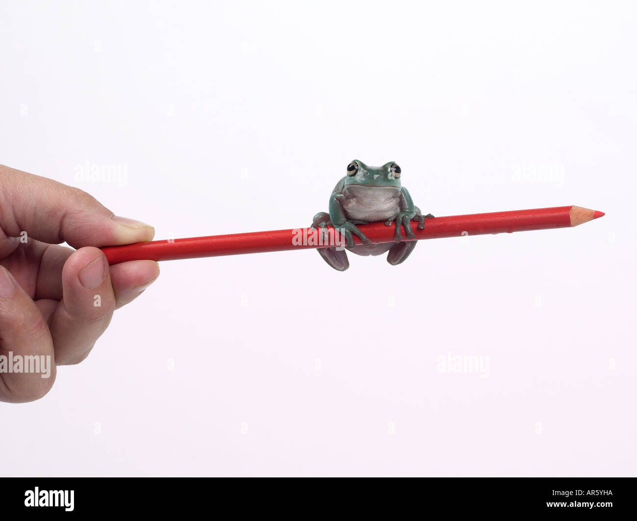 Pencil grip hi-res stock photography and images - Alamy