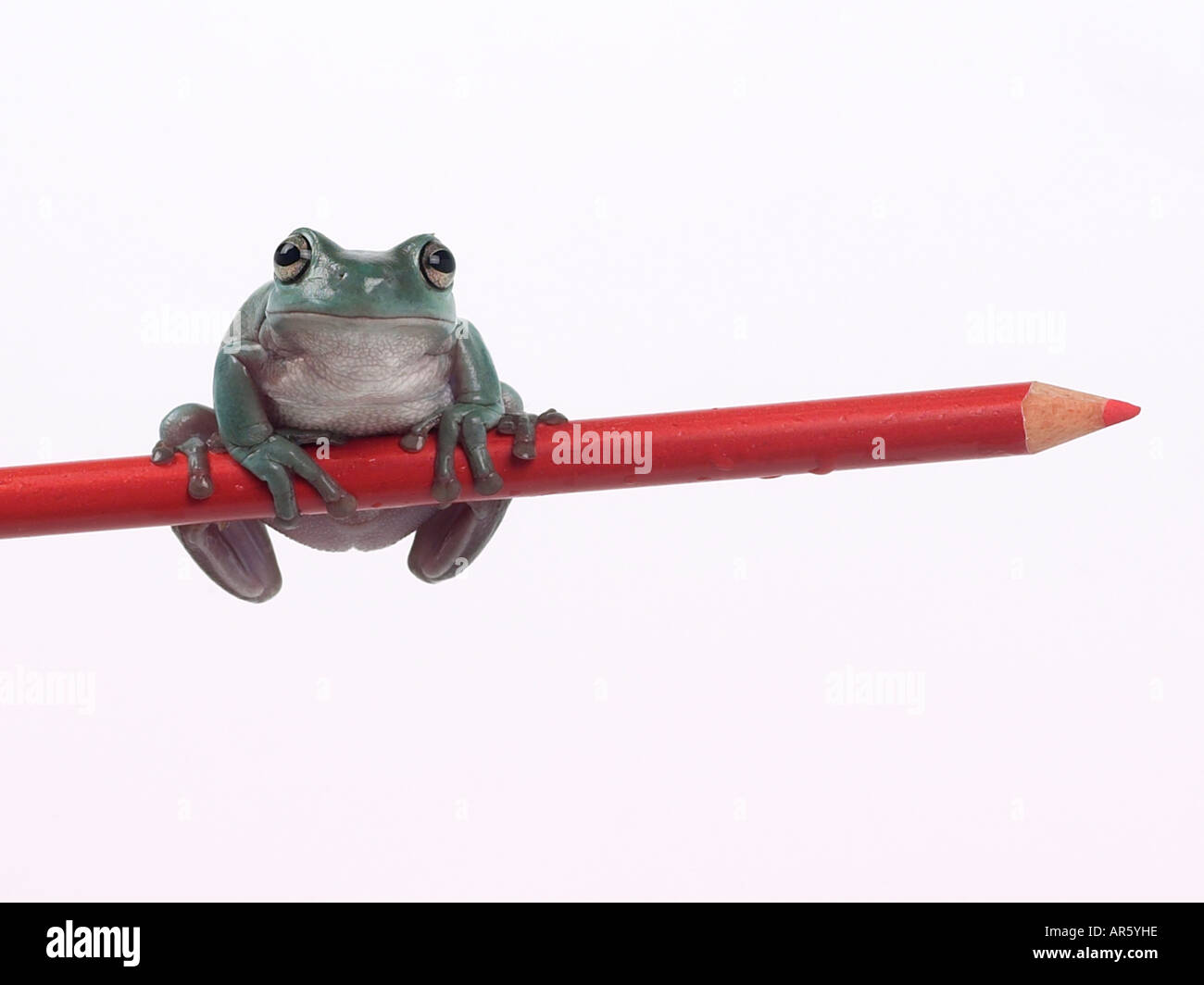 Pencil grip hi-res stock photography and images - Alamy