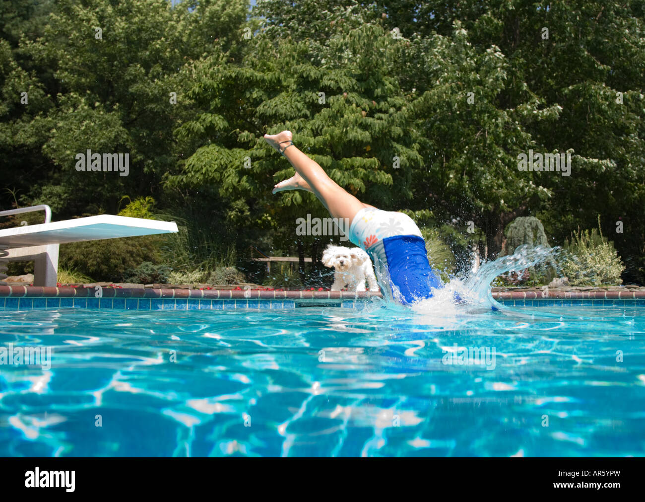 Child diving into a swimming pool Stock Photo - Alamy
