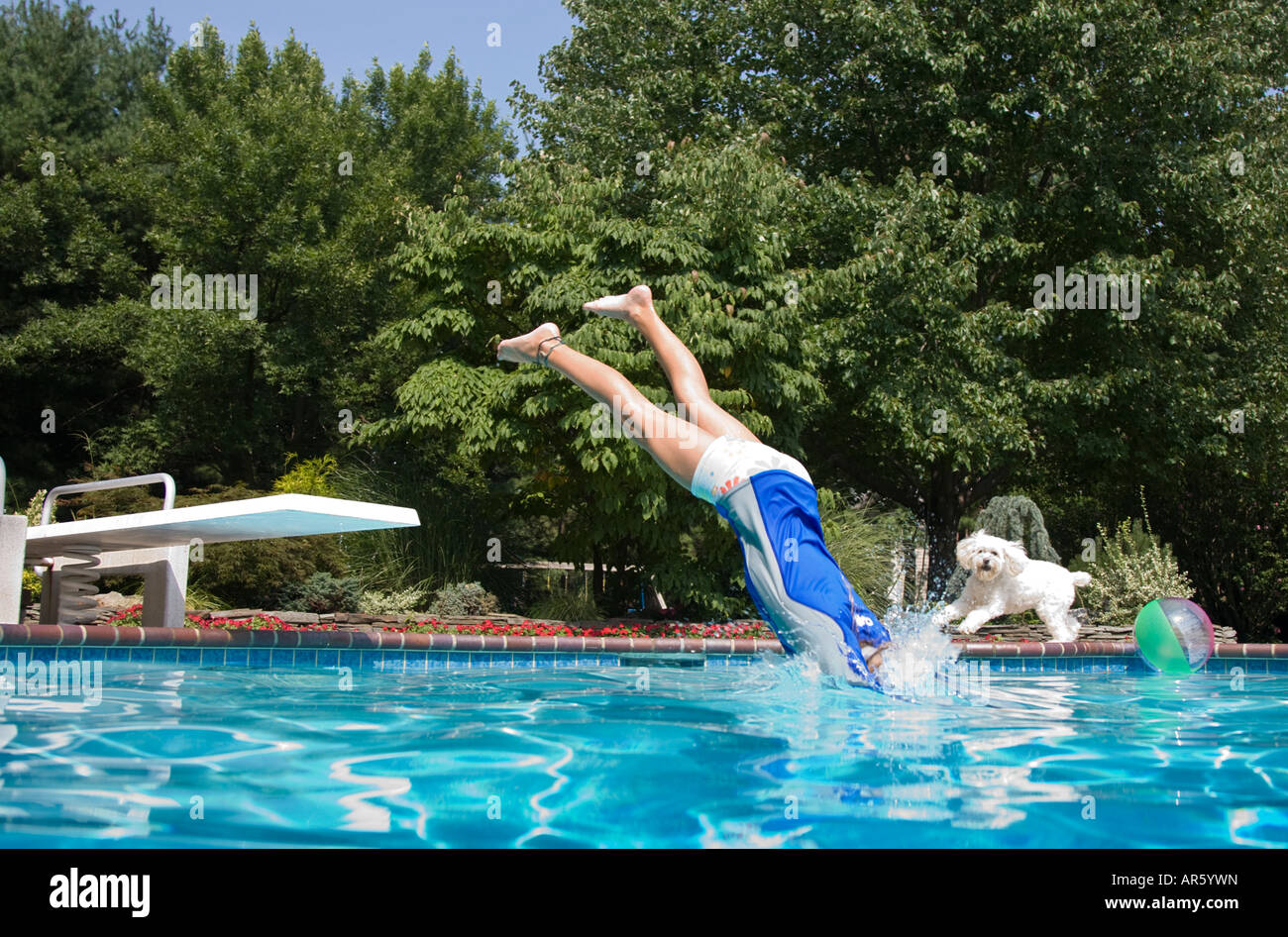 Child diving into a swimming pool Stock Photo - Alamy