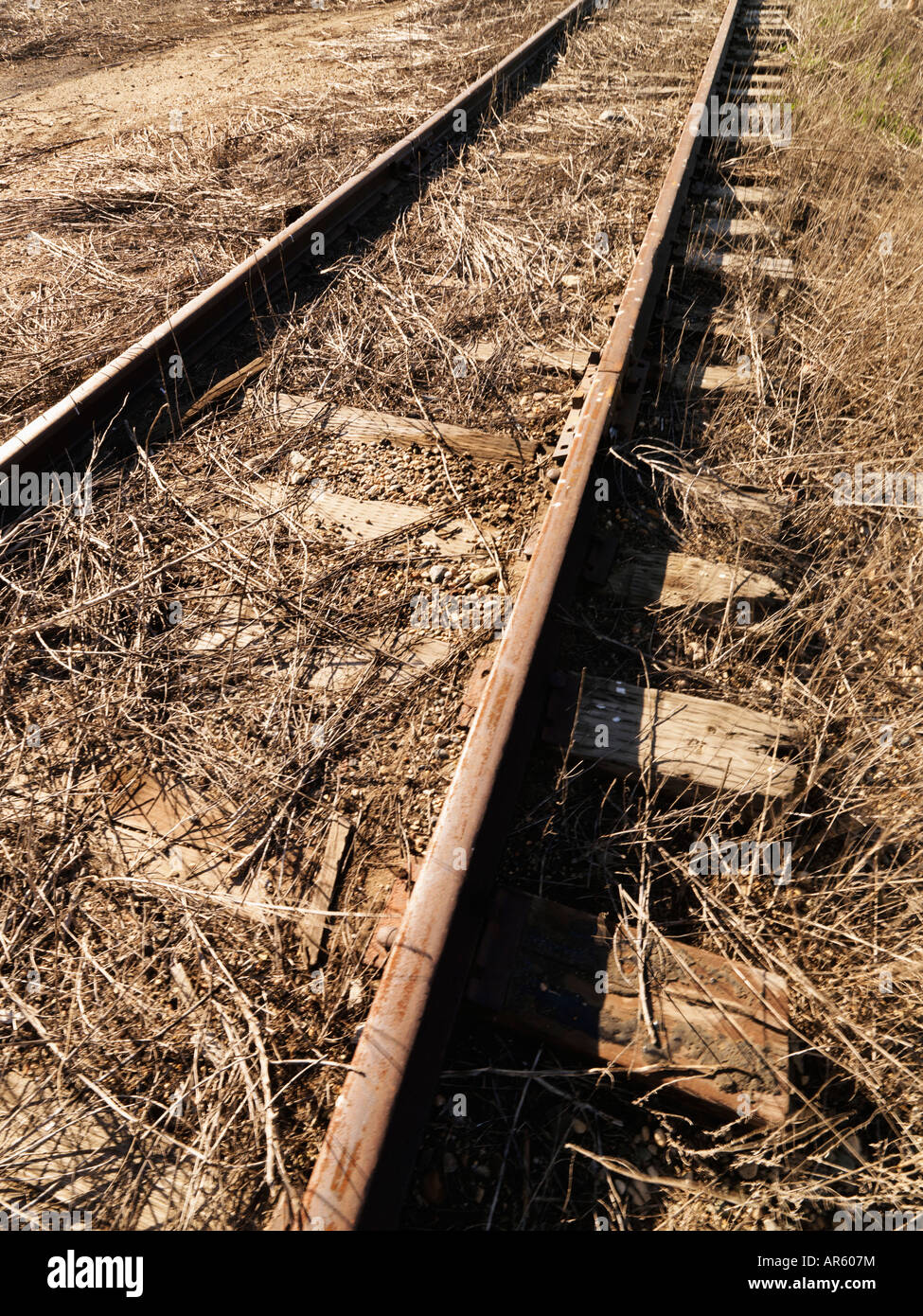 Abandoned railroad tracks Stock Photo - Alamy
