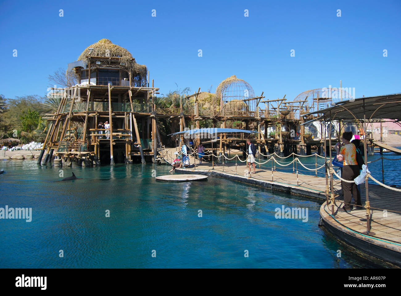 Lookout and jetty, Dolphin Reef, Eilat, South District, Israel Stock ...