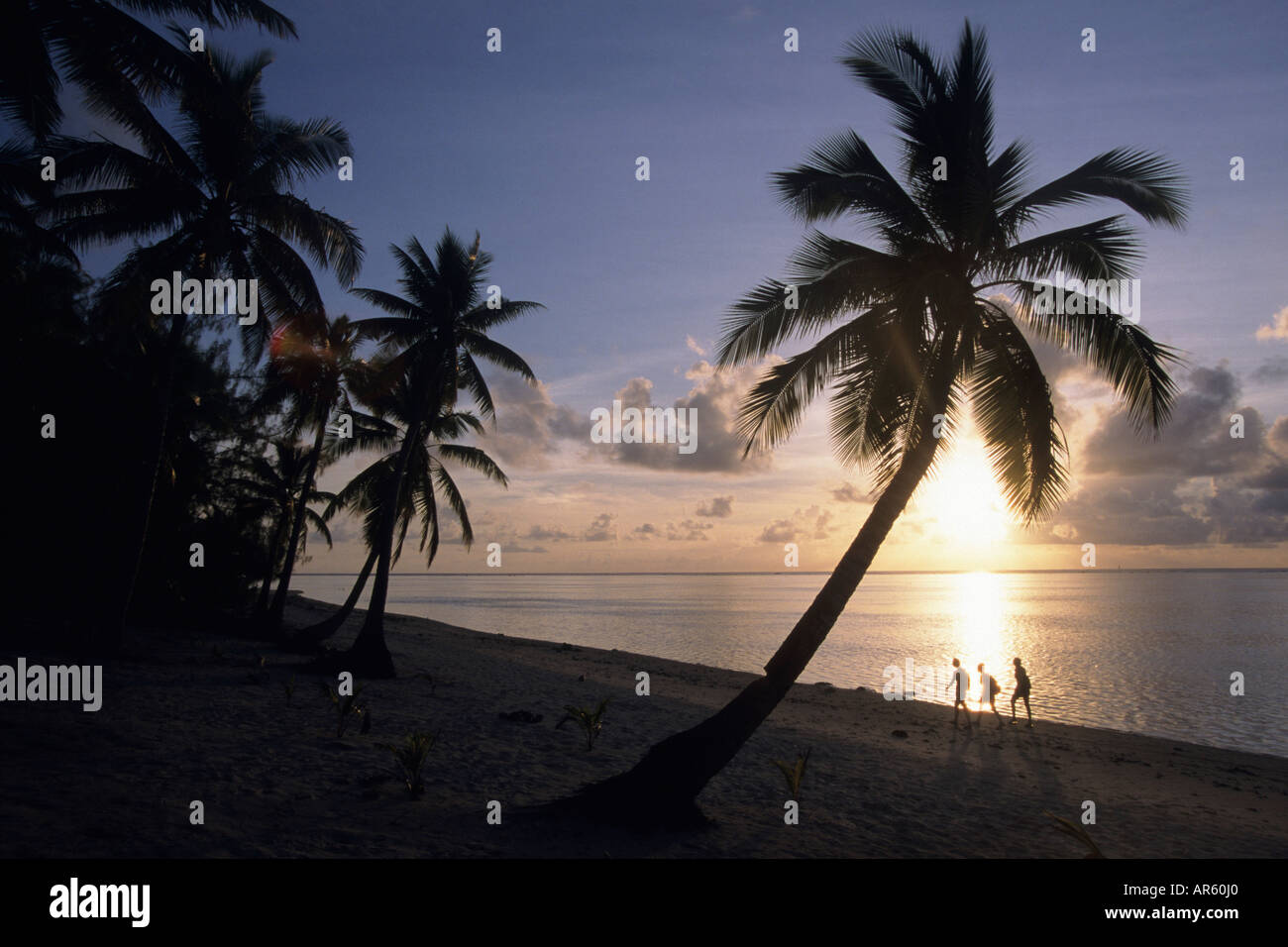 Coconut Tree and Beachcomber Sunset Silhouette, Aitutaki, Cook Islands ...