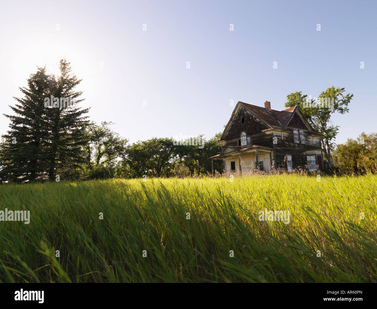 Abandoned farm house in rural field Stock Photo - Alamy