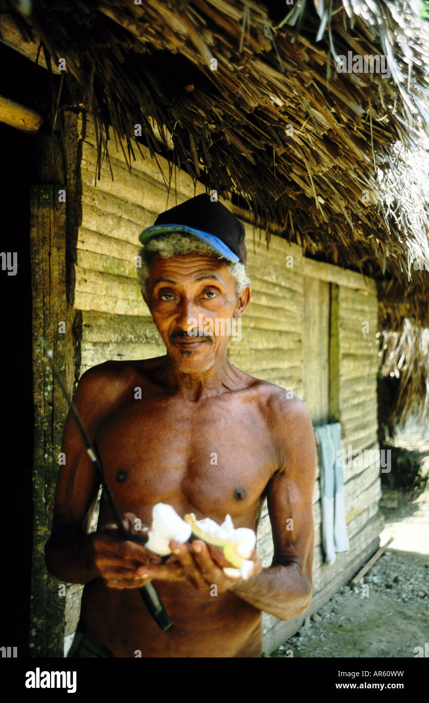 Farmer cutting open a cocoa fruit, Baracoa district, Cuba Stock Photo ...