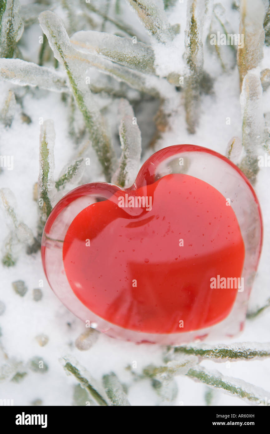 ice surrounding a glass red heart Stock Photo - Alamy