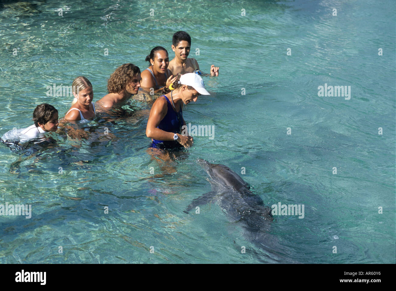 Feeding Dolphins at Dolphin Quest, InterContinental Beachcomber Resort ...