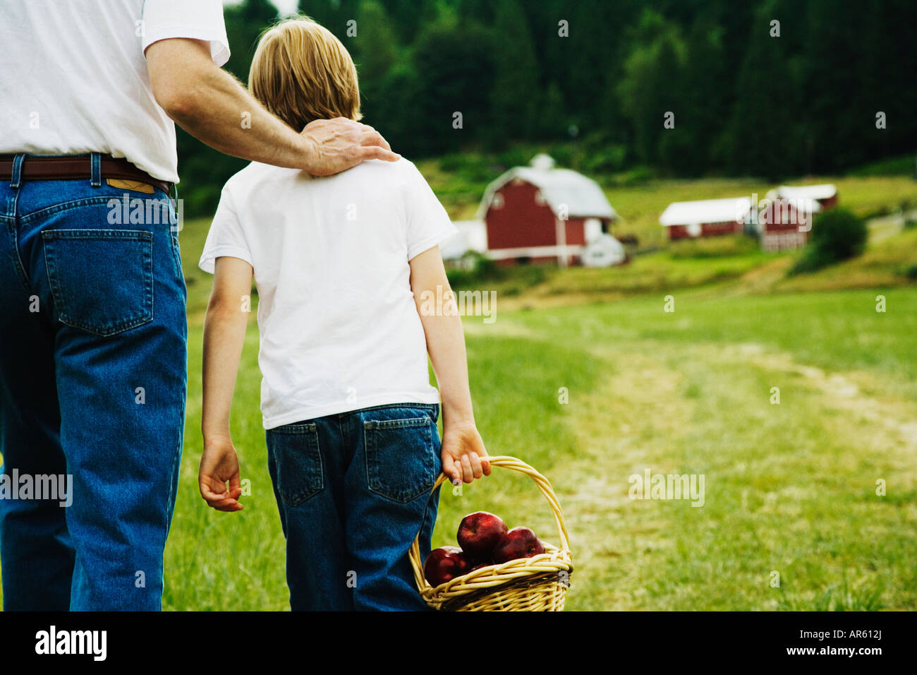 Father and son walking on farm Stock Photo - Alamy