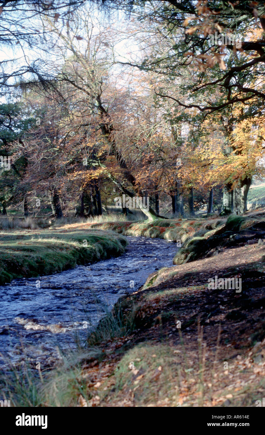 Ribble valley autumn hi-res stock photography and images - Alamy