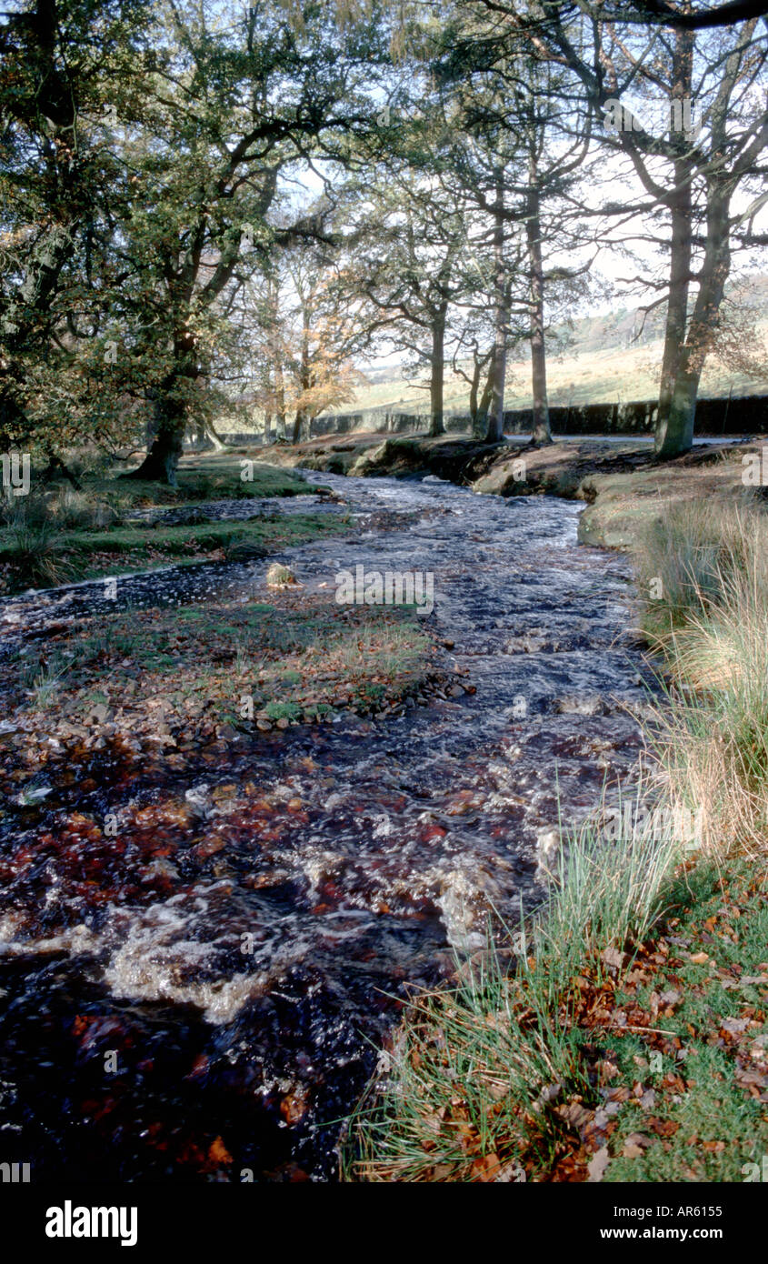 Autumn Ribble Valley Lancashire Stock Photo - Alamy