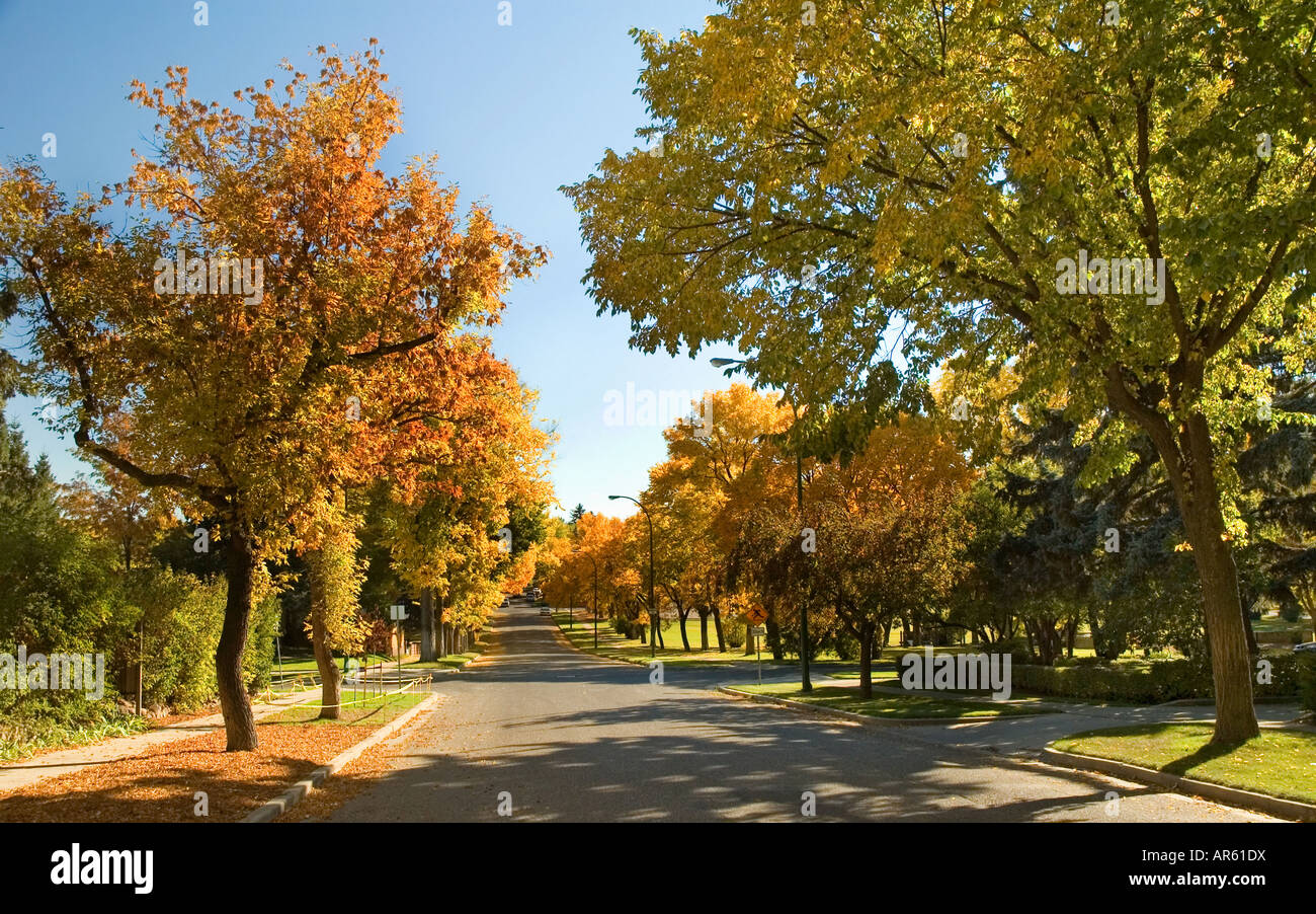 Autumn in your neighborhood Stock Photo - Alamy