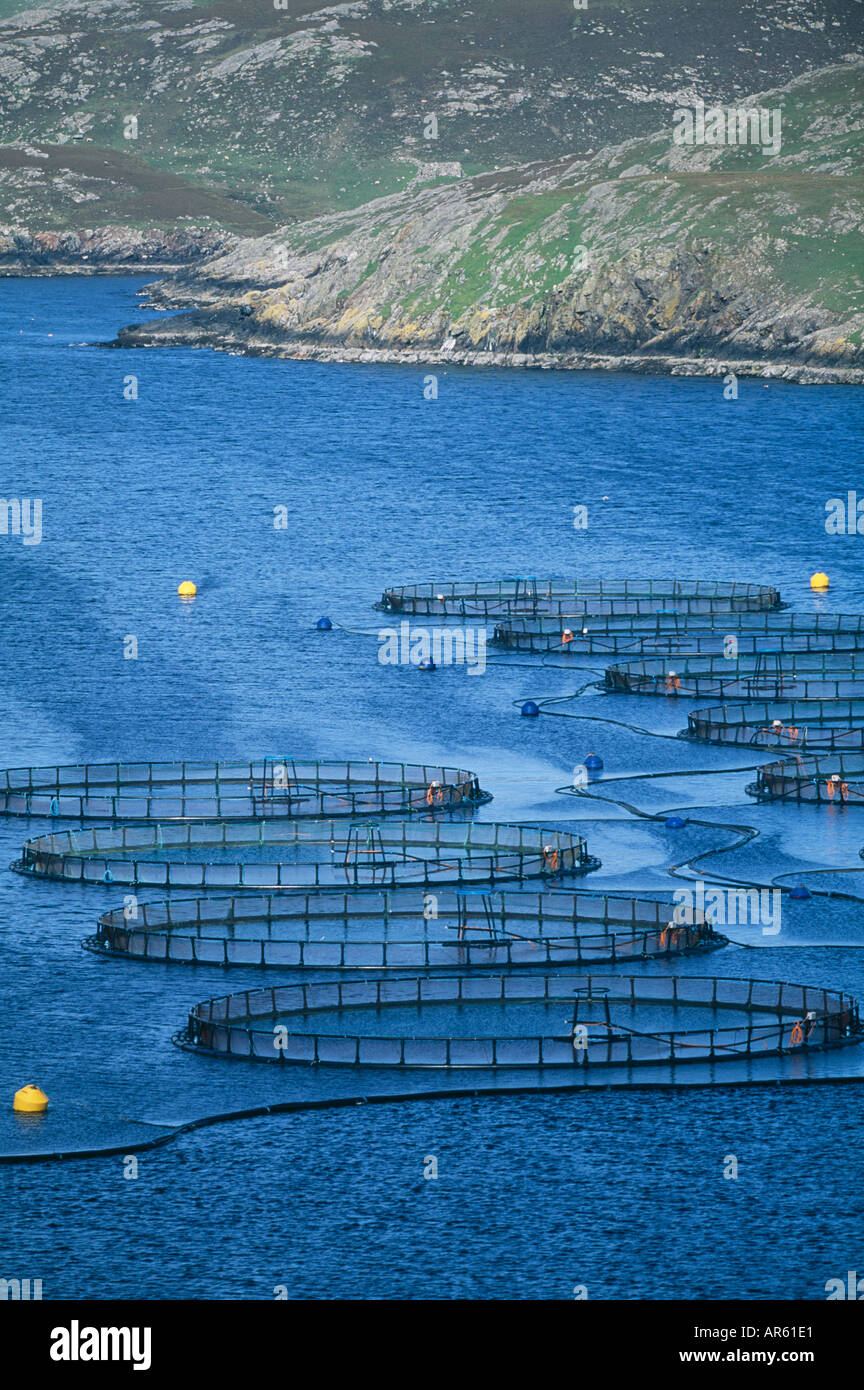 Salmon fish farm uk hi-res stock photography and images - Alamy
