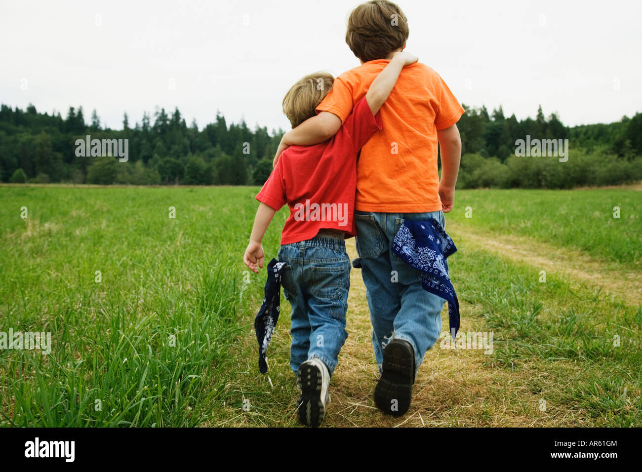 Two brothers walking in field Stock Photo - Alamy