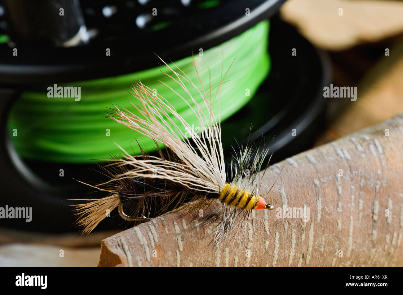 Attractor hi-res stock photography and images - Alamy