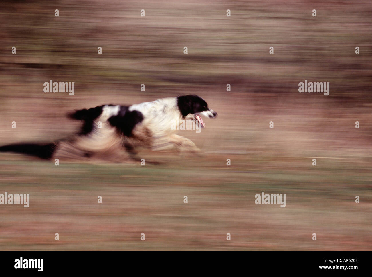 Kent running hi-res stock photography and images - Alamy