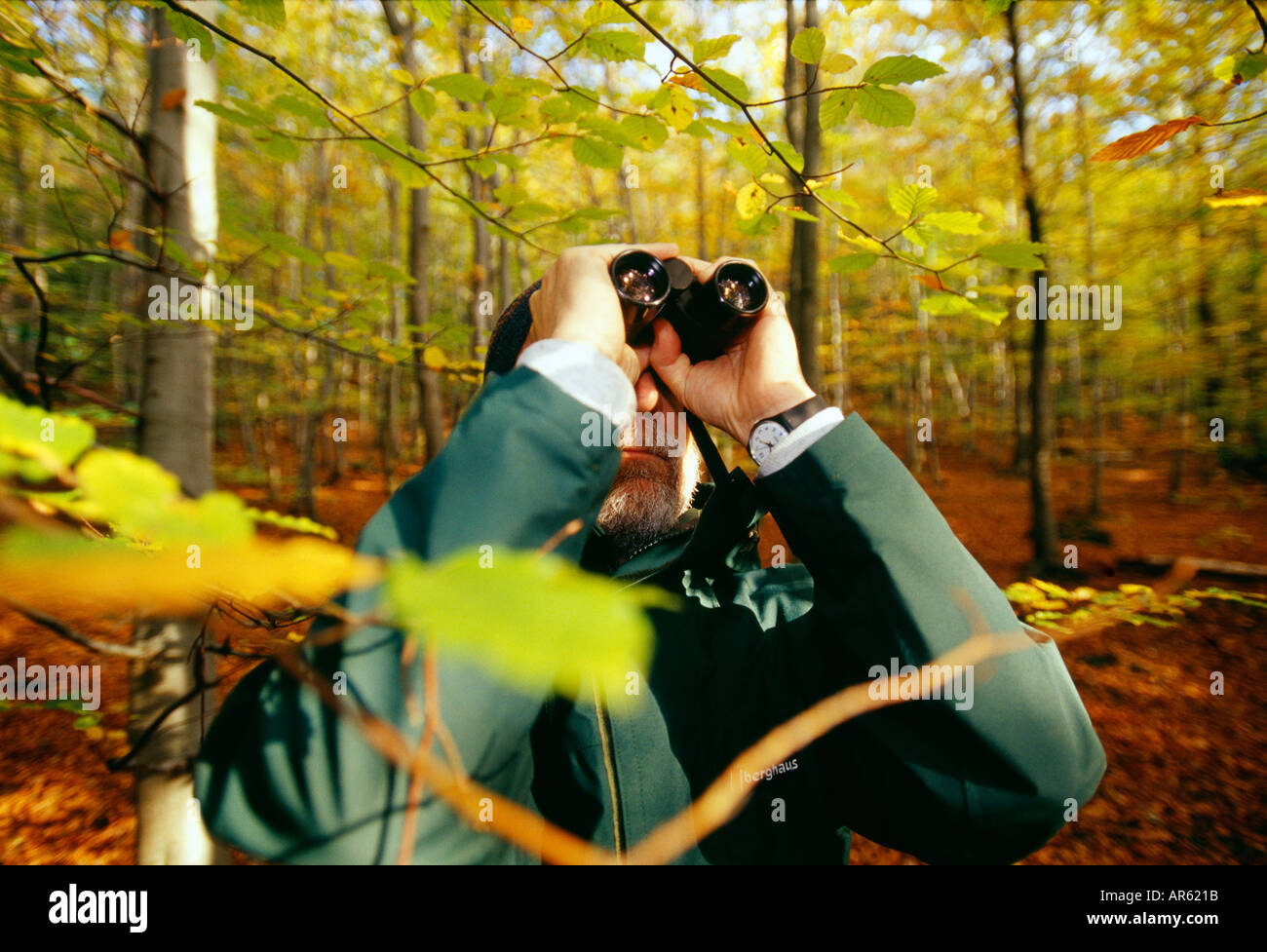 Birdwatching uk hi-res stock photography and images - Alamy