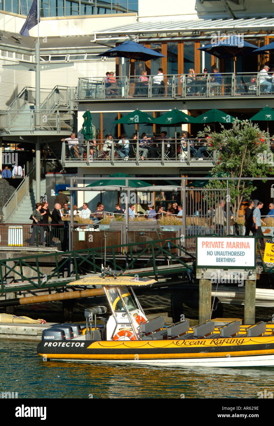 Sunday brunch at the Loaded Hog Auckland Viaduct Harbour New Zealand ...