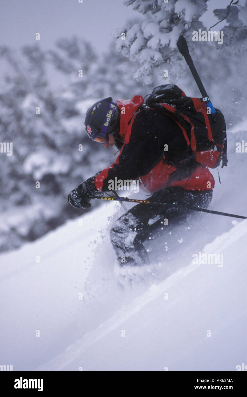 Skiing in deep powder Stock Photo - Alamy