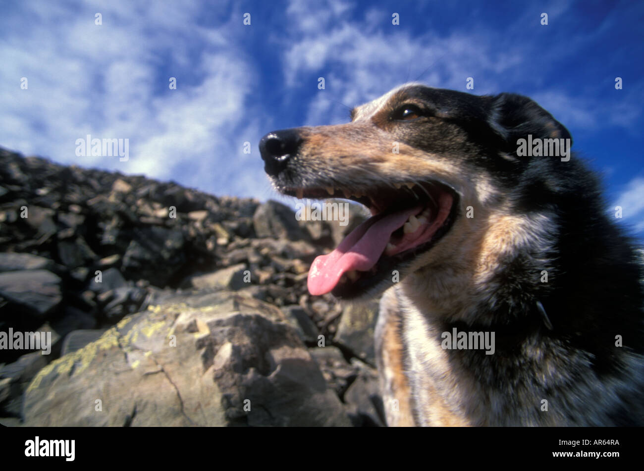 Happy on the outside hi-res stock photography and images - Alamy