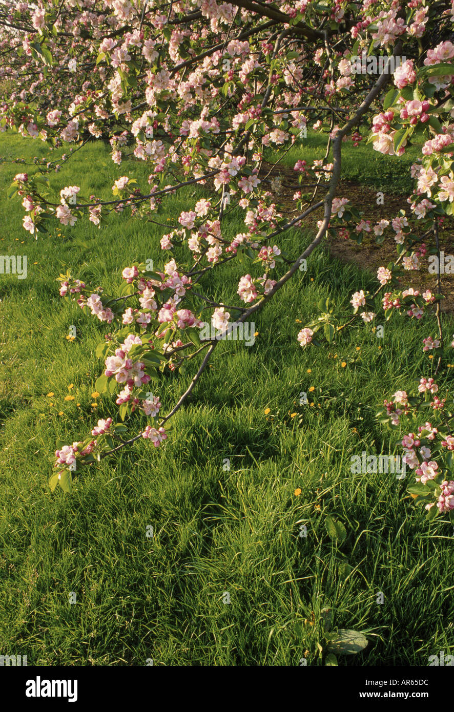 Plaxtol kent hi-res stock photography and images - Alamy