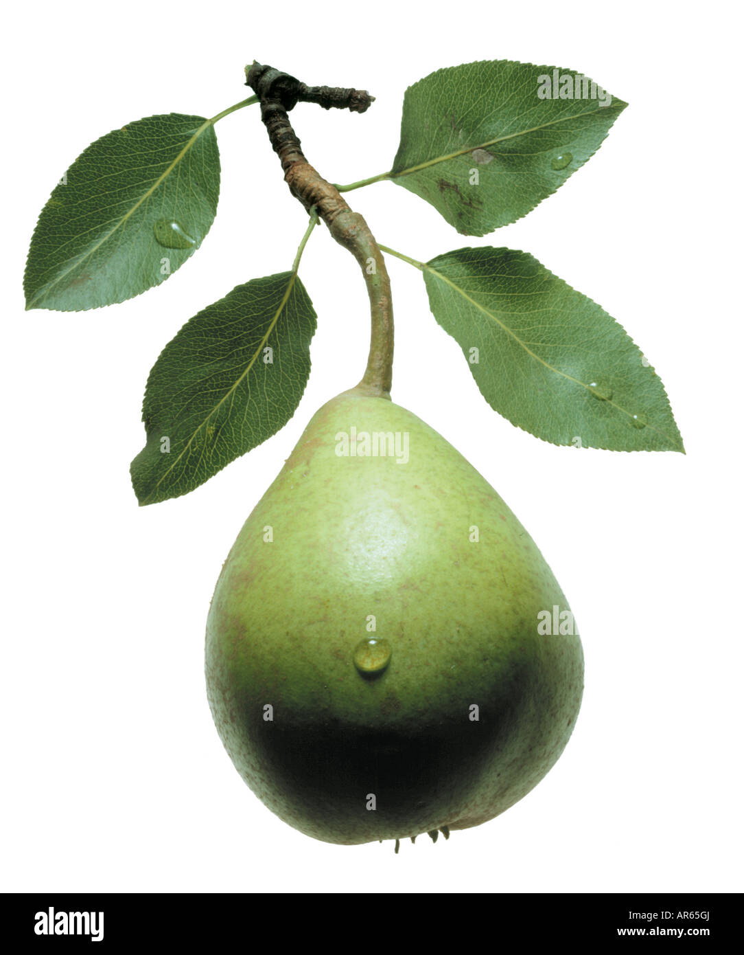 Pear health hi-res stock photography and images - Alamy