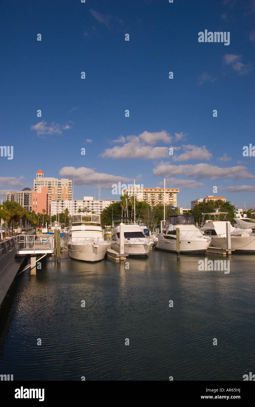 Marina Jack Bayfront Plaza Sarasota Bayfront Park bay front Sarasota ...