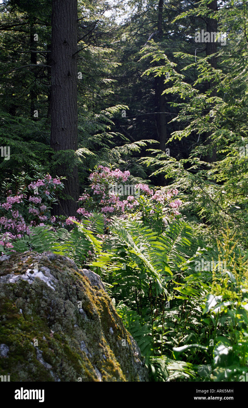 Taconic mountains hi-res stock photography and images - Alamy