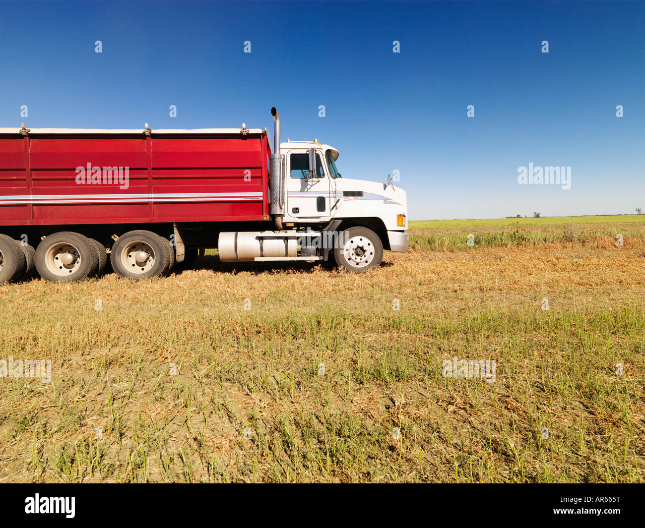 Side view of semi truck in agricultural field Stock Photo - Alamy