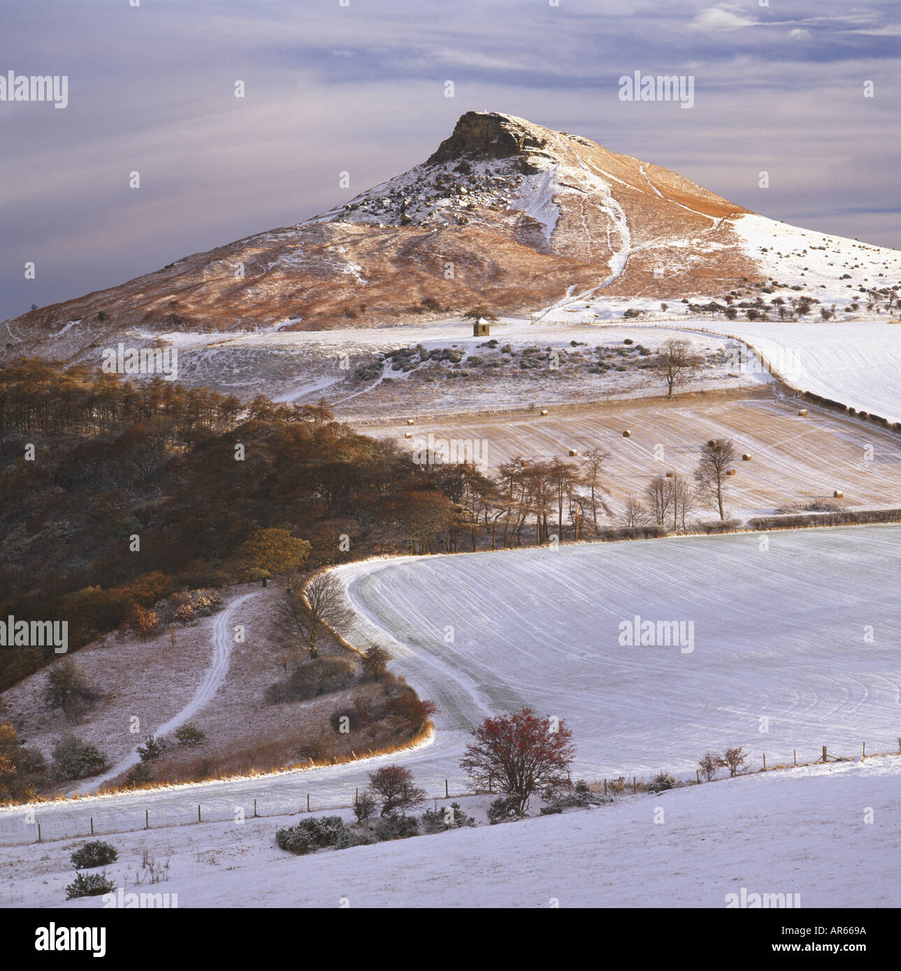 Roseberry hi-res stock photography and images - Alamy