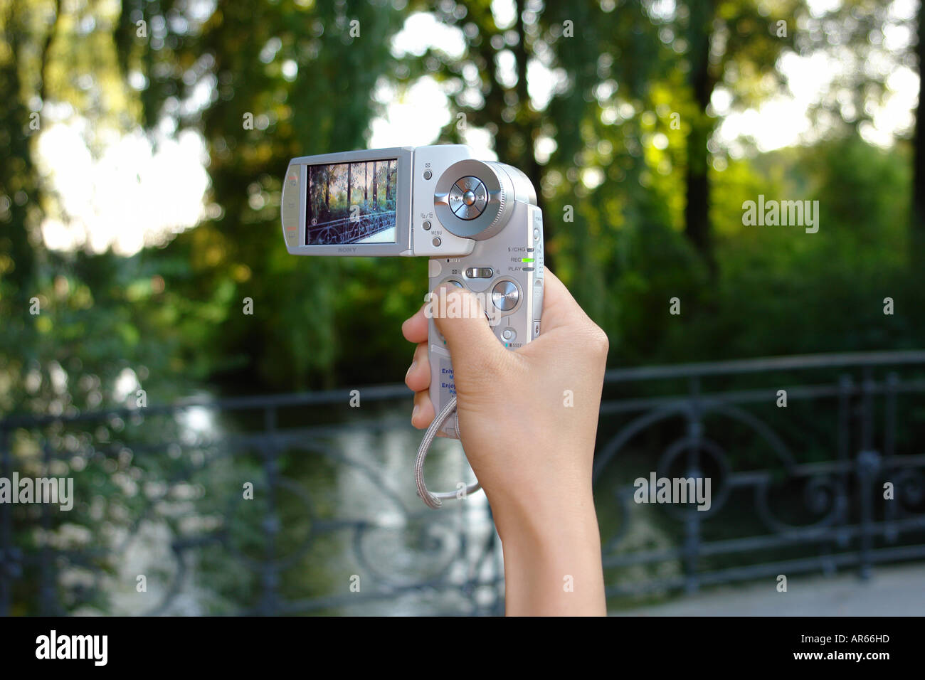 Hand holding digital camera in park Stock Photo - Alamy