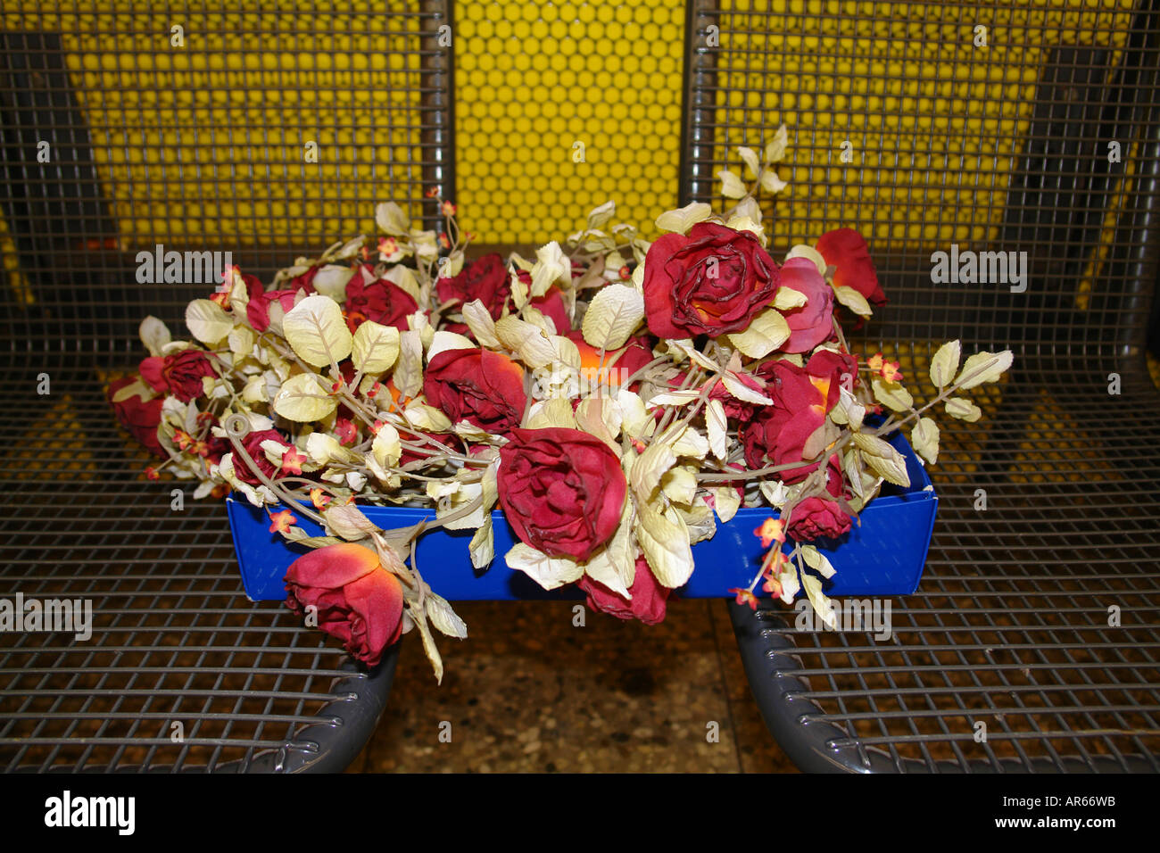 Plastic fake rose hi-res stock photography and images - Alamy