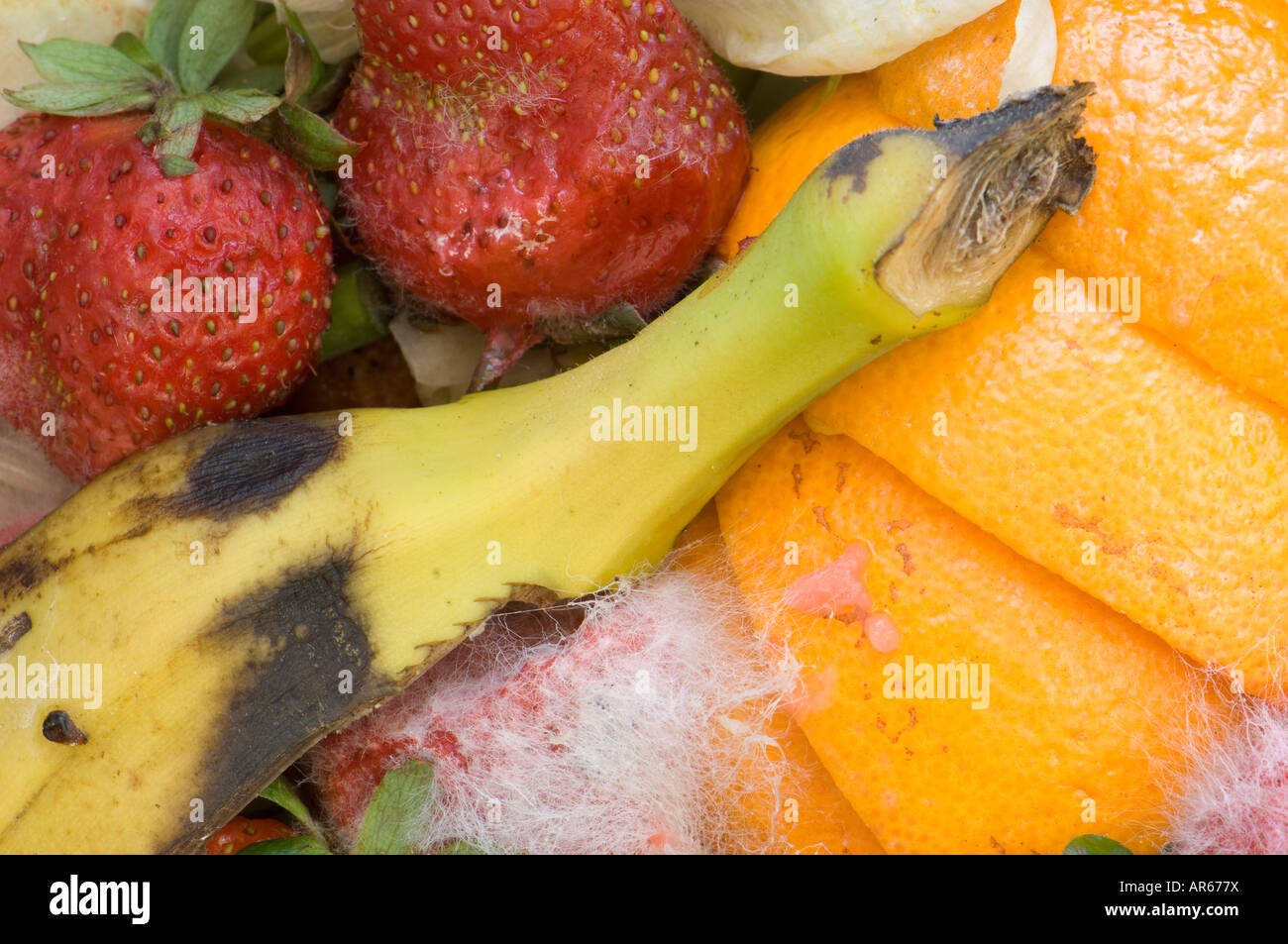 Organic garbage residues from a domestic recycling waste bin Stock ...