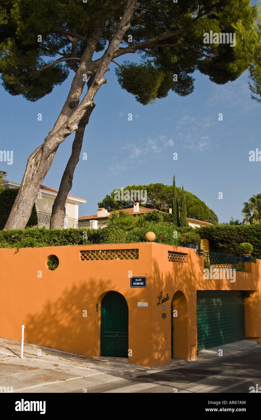 Tall cypress trees houses hi-res stock photography and images - Alamy