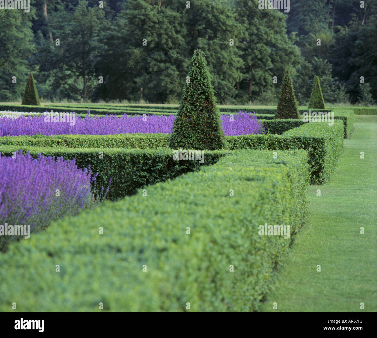 Buxus borders hi-res stock photography and images - Alamy