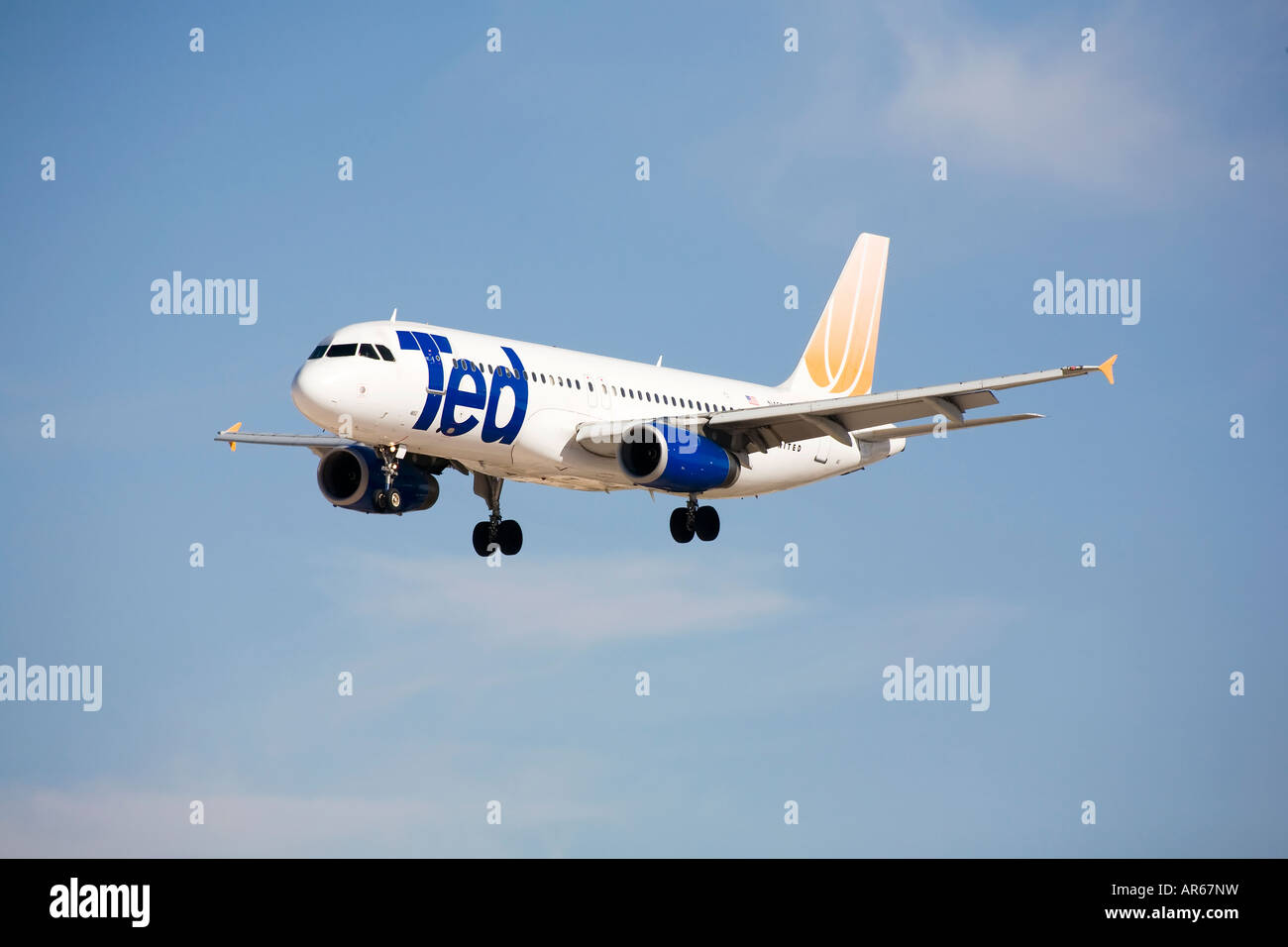 An Airbus A319 of TED United Airlines on final approach Stock Photo - Alamy