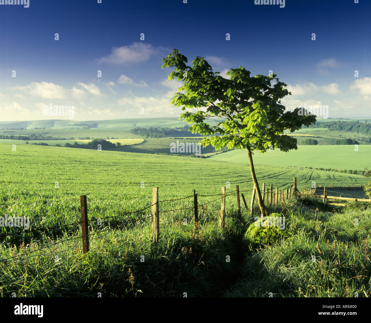Ditchling beacon, england hi-res stock photography and images - Alamy