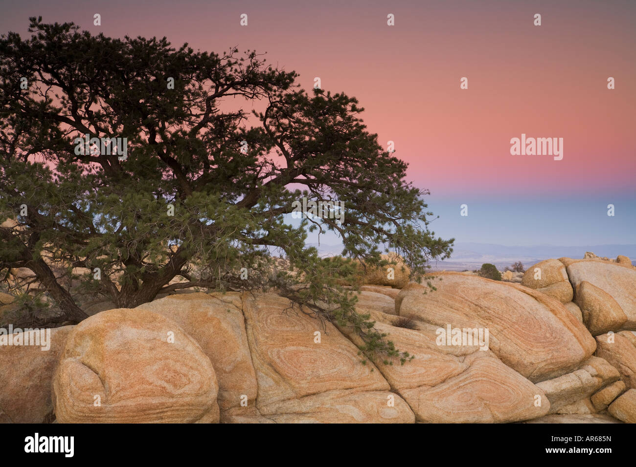 Mojave desert scenery hi-res stock photography and images - Alamy