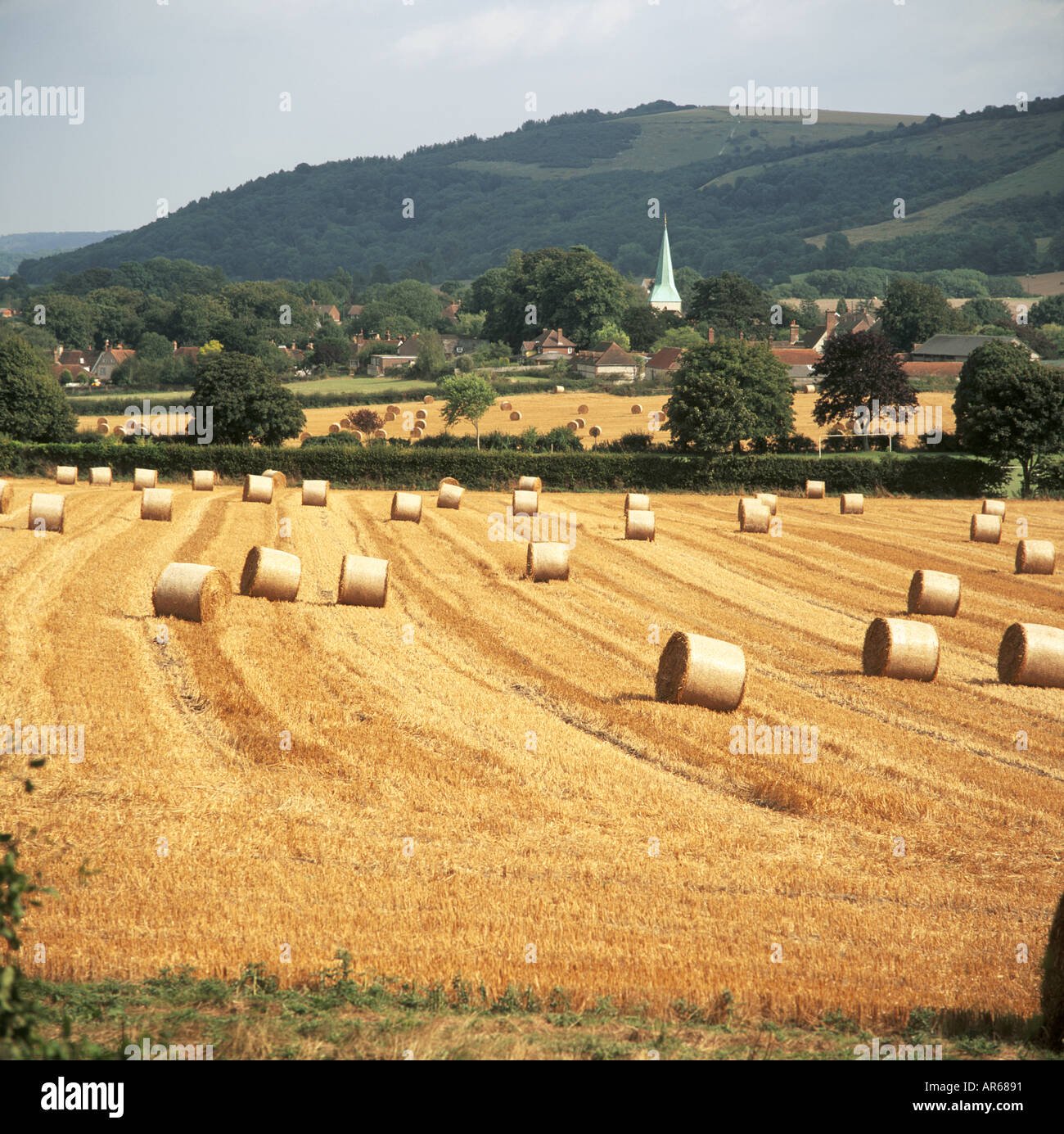 Harting Down West Sussex Stock Photo - Alamy